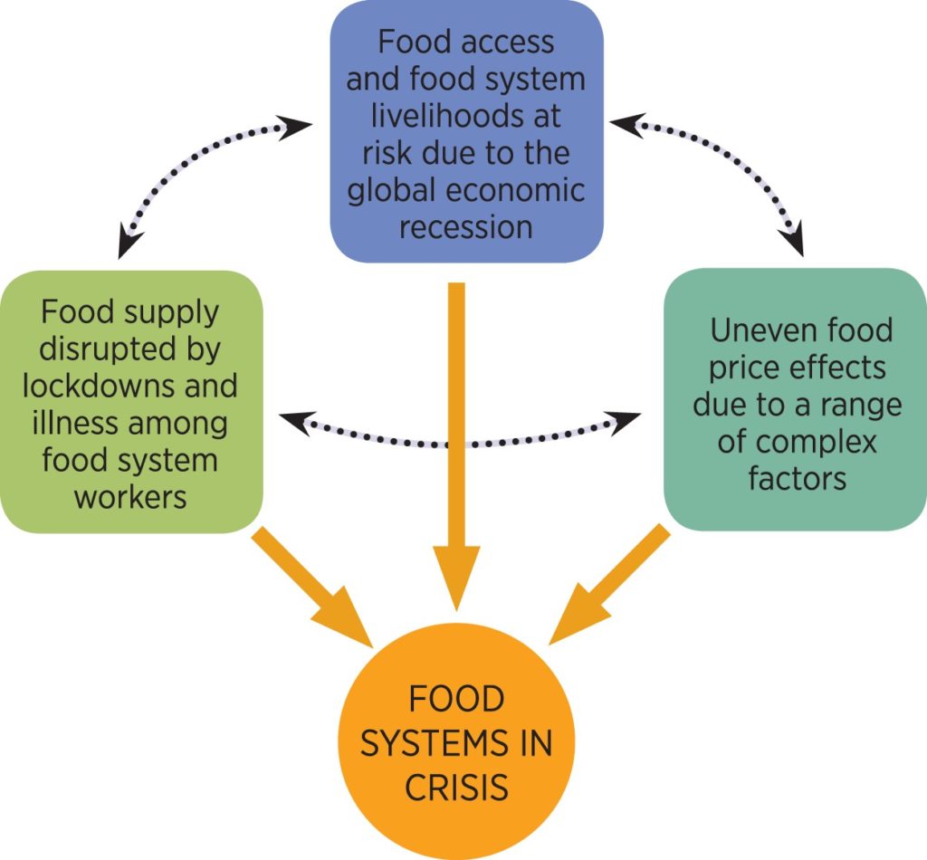 Rescaling Political Economy: A Mitigant to Crisis-Induced Food ...