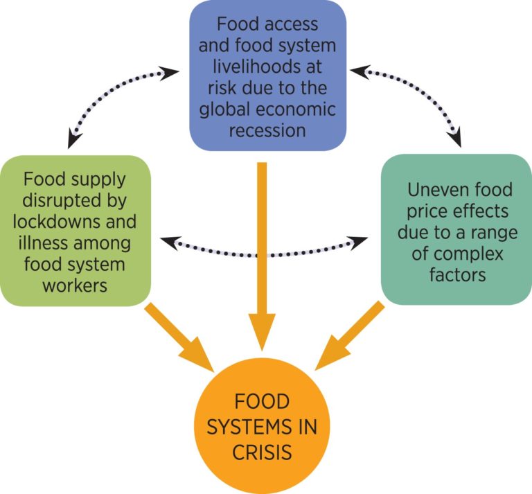 Rescaling Political Economy: A Mitigant to Crisis-Induced Food ...